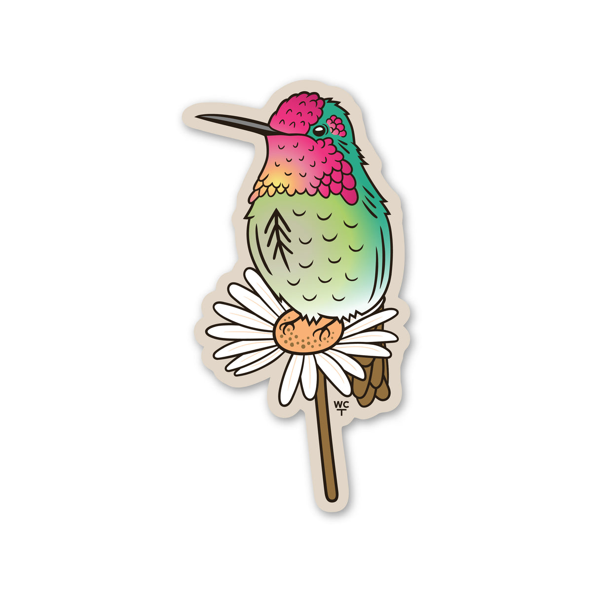 Anna's Hummingbird Decal – Westcoast Thick Design Co.